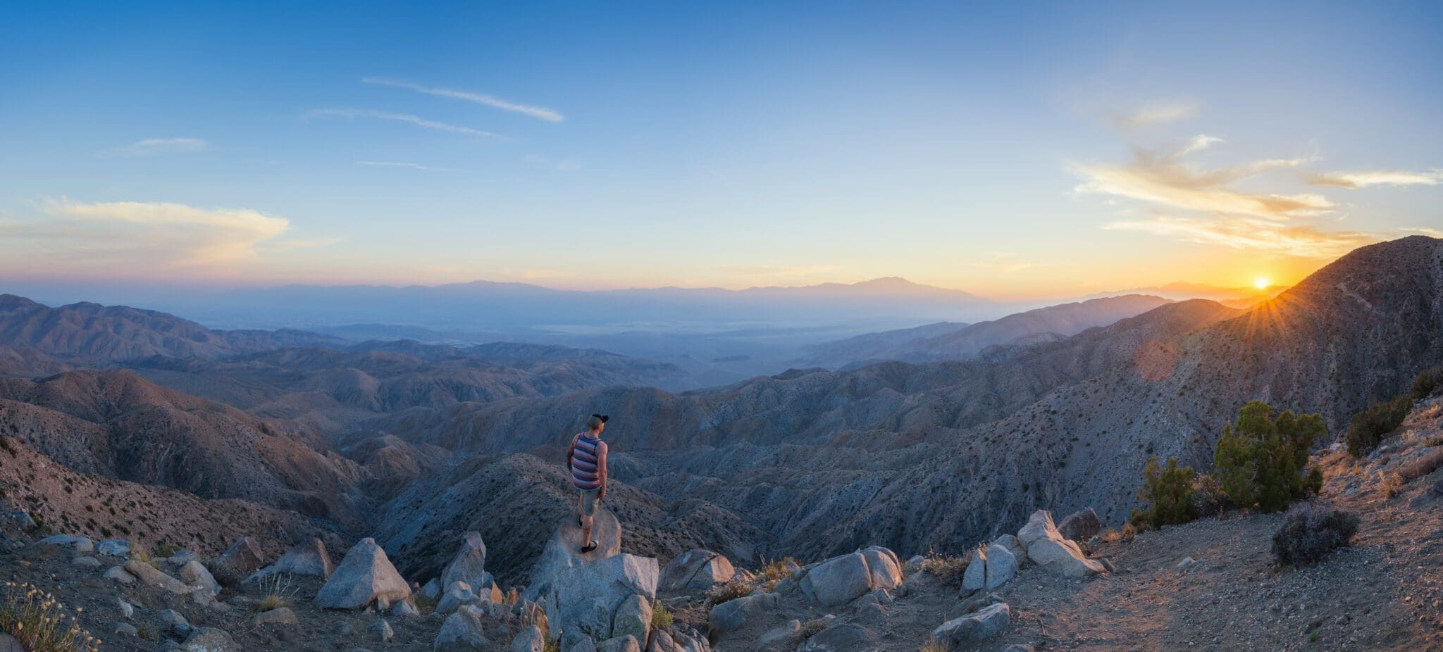 Joshua Tree Day Trip: Top Attractions & Tips | Action Tour Guide