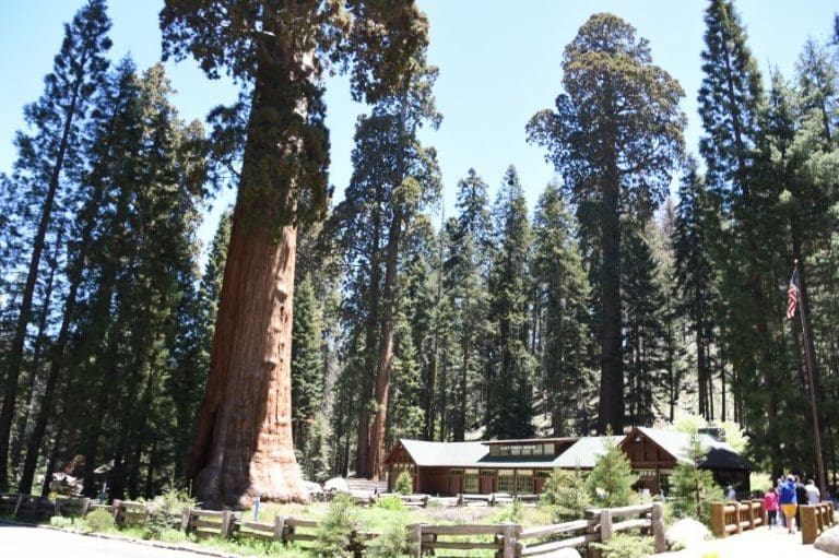 What is the Main Visitor Center in Sequoia National Park?