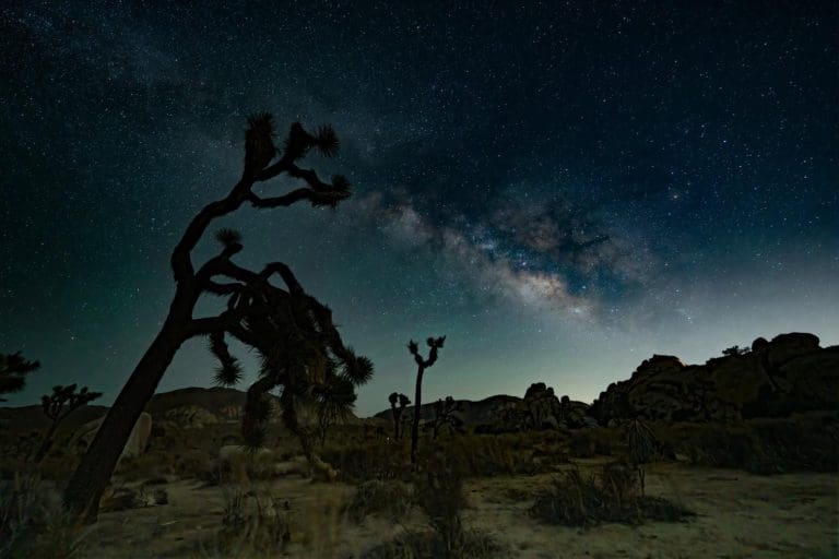 Can you see the Northern Lights in Joshua National Park?