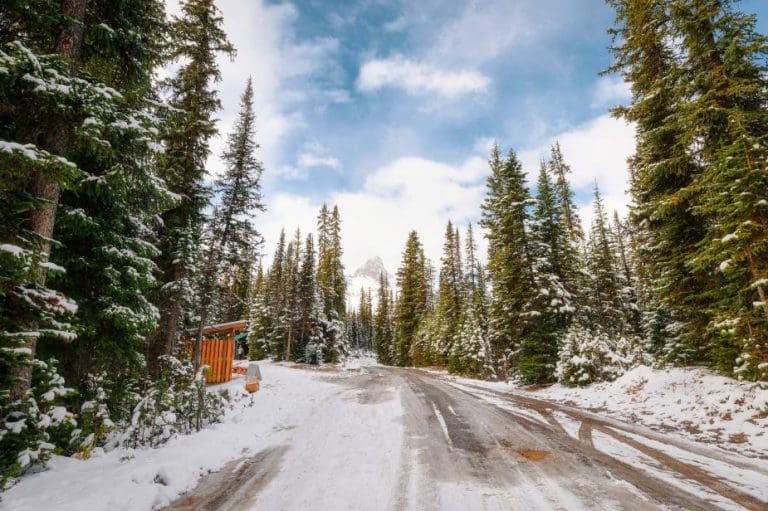 What are the Unique Features of Yoho National Park?