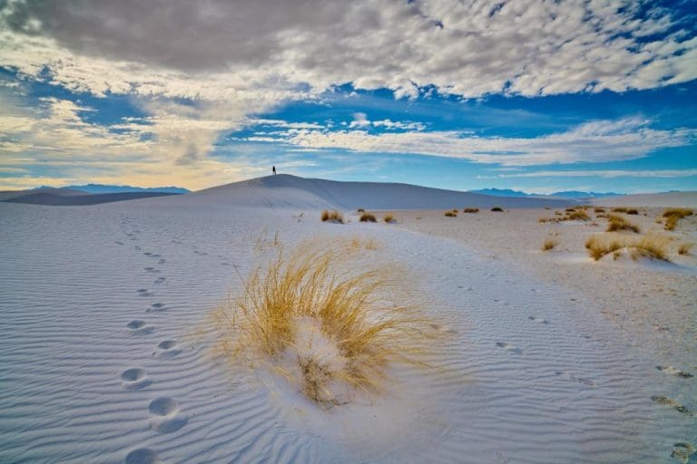 What can you do in White Sands, New Mexico?